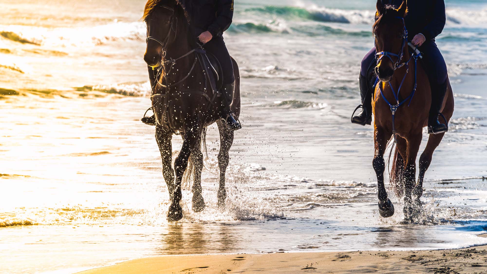 LDS Tours Tulum, Horseback Riding in Riviera Maya | Alma's LDS Tours